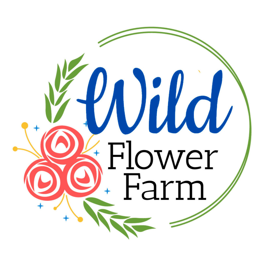 Home - Wild Flower Farm